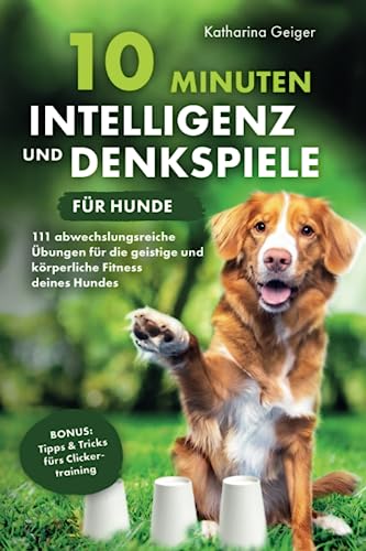 Spiel Hunde – Die 15 besten Produkte im Vergleich - kita.de Ratgeber