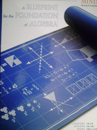 Blueprint for the Foundation of Algebra : The Coordinate Plane and ...