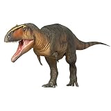 Pisanosaurus Dinosaur Facts - information about the dinosaur pisanosaurus