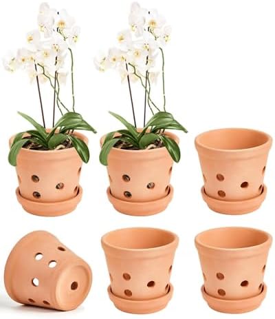 Amazon.com: Yishang Terracotta Orchid Pots with Saucer&Holes,Clay ...