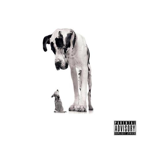 Amazon.com: Project Underdog: CDs & Vinyl