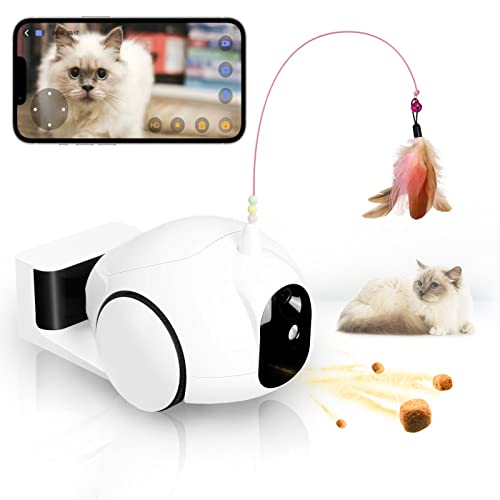 Discover the 10 Best Robot Cat Cameras of 2021: A Comprehensive Buying ...