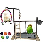 Amazon.com : kathson Parrot Playstand Bird Playground Conures Play ...