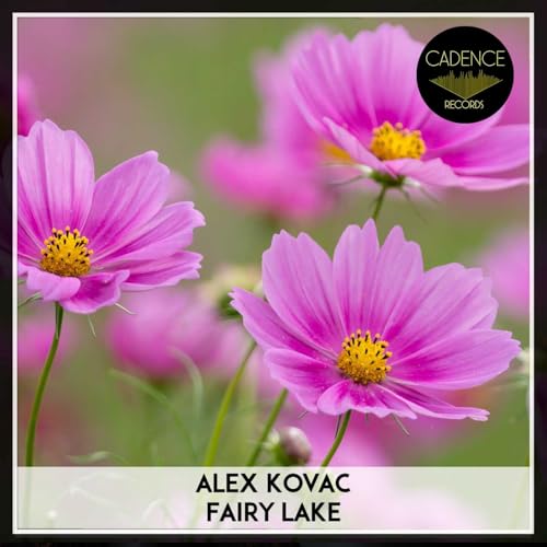 Amazon.com: Fairy Lake : Alex Kovac: Digital Music