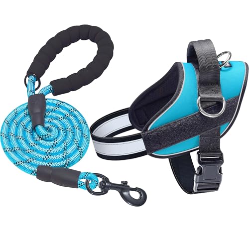Rei Dog Harness – The 15 best products compared - Wild Explained