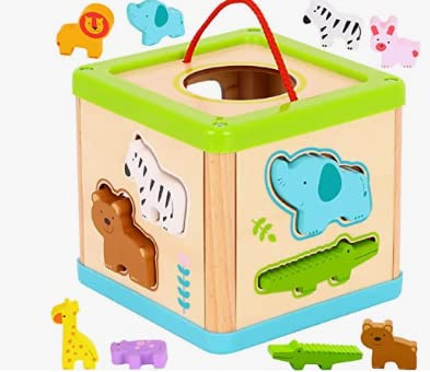 Buy Nene Toys Animal Shape Sorter PlaySet – Wooden Activity Cube for ...