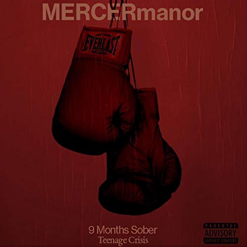 Amazon.com: 9 Months Sober [Explicit] : Mercer Manor: Digital Music