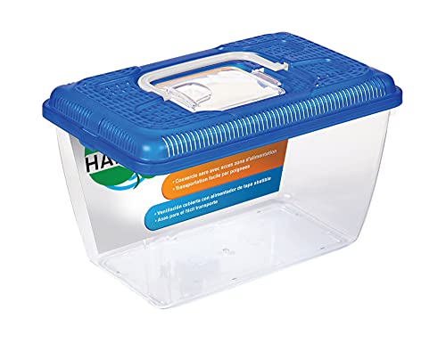 Small Plastic Aquariums – The 16 best products compared - wonder-pets ...