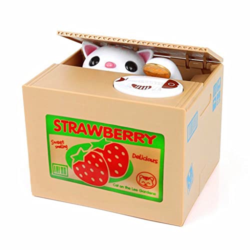 Cat In Box – Los 15 mejores productos comparados - Wild Explicado