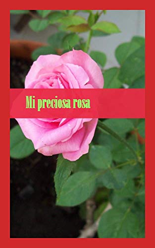 Mi preciosa rosa (Spanish Edition) eBook : Coahuila, Arianna: Amazon.in ...