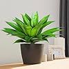 Amazon.com: Ttranewsoo Artificial Agave Plants,Large UV Resistant Fake ...