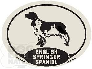 Amazon.com: English Springer Spaniel Euro Decal : Automotive