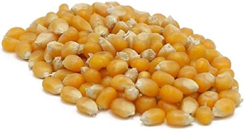 Amazon.com : Yellow Popcorn Seed for Growing Heirloom OP Open ...