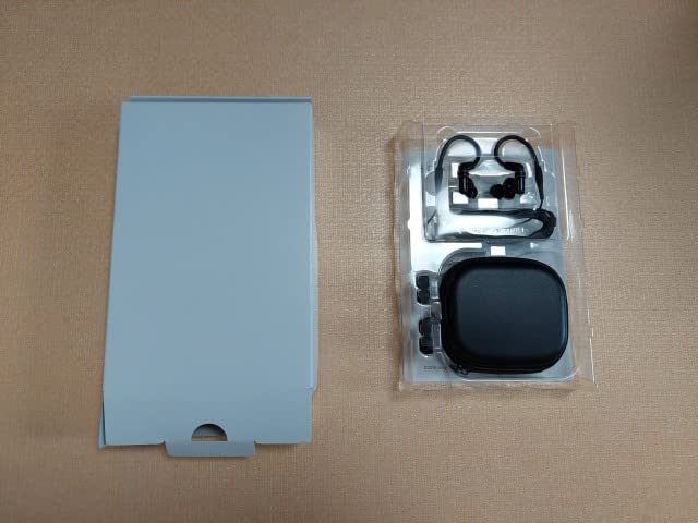 Amazon.co.jp: SONY INNER EAR MONITOR MDR-EX800ST : 家電＆カメラ
