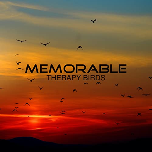 Therapy Birds de Memorable no Amazon Music Unlimited