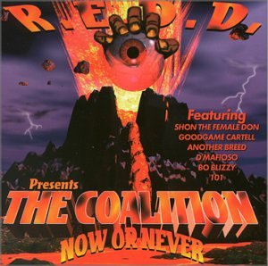 Artists, Various - The Coalition Now or Never - Amazon.com Music