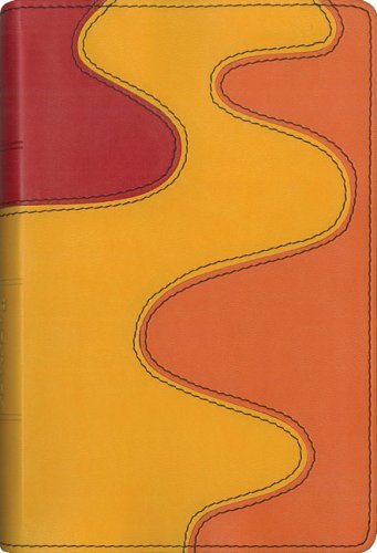 NIV Backpack Bible: Zondervan: 9780310707929: Amazon.com: Books