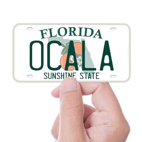 Amazon.com: Florida Bumper Stickers for Car - Waterproof Vinyl FL ...