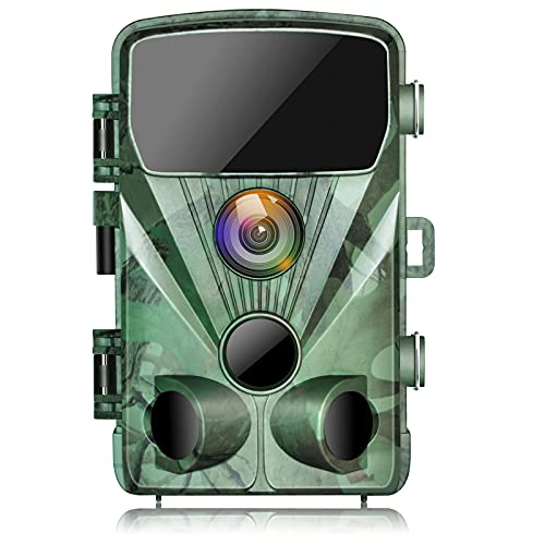 Best Budget Trail Camera UK - Internet Eyes