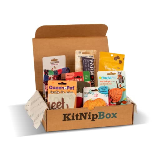 Unleash the Excitement: Top 10 Pet Subscription Boxes You Need to Try ...