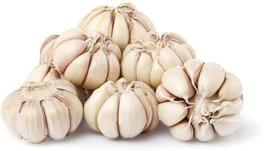 LORVOX Garlic Hybrid Vegetable Seeds (Garlic/Lahsun Seeds -120 Seeds ...