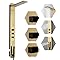 BWE Polished Gold Shower Panel Tower System, Multi Function Shower ...