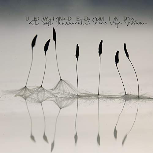Play Unwinded Mind with Soft Instrumental New Age Music (Piano, Guitar ...