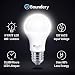 Amazon.com: Boundery The EBULB Emergency LED Light Bulb Emergency ...