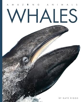 Whales (Amazing Animals) : Riggs, Kate: Amazon.in: Books