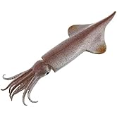 Amazon.com: Gresorth 4 Pack Fake Large Sea Life Creatures Collection ...