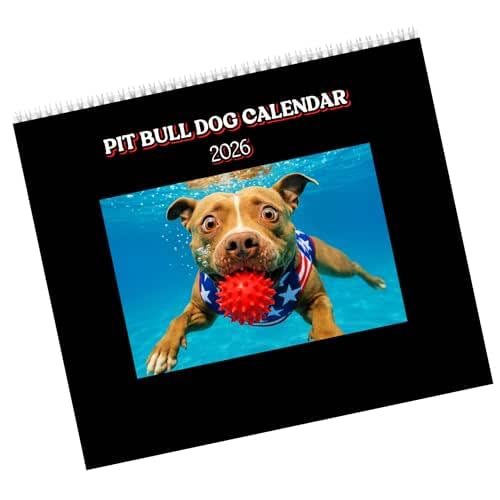 Amazon.com: Pit Bull Dog Calendar 2026 Featuring 12 Different Pit Bull ...