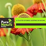 【発売日：2020年08月30日】・製造元:Pure Nature Harmony