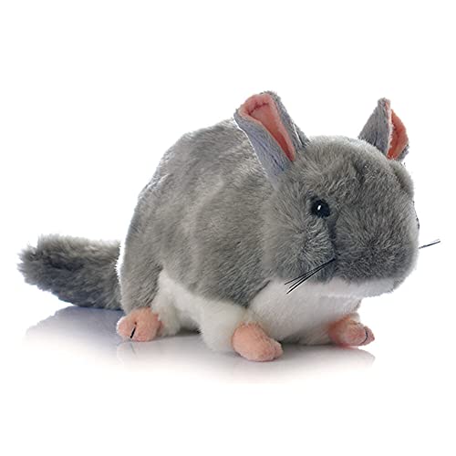 10 Must-Have Products for Your Adorable Fluffy Chinchilla: A Review and ...