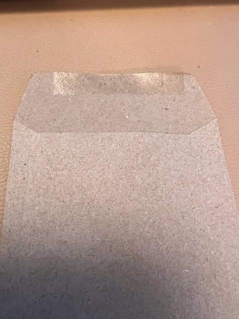 Youngly 80 Pack of Self-Sealing Wage Envelopes, Perfect for Payroll and ...