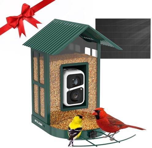 Amazon.com : SOLIOM BF08- Metal Solar Bird Feeder Camera with AI ...