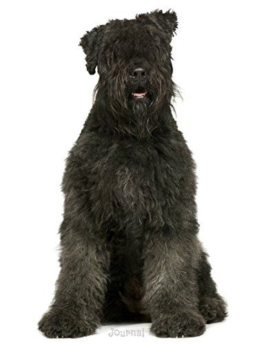Journal: Bouvier des Flandres: Publications, Dreamflight: 9781973585107 ...