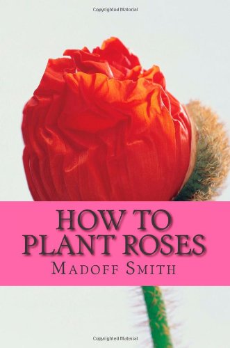 How To Plant Roses: Everything About Rose Gardening And Giving It As ...
