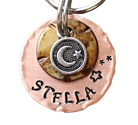 Amazon.com: Moon Dog Tag, Pet ID Tag, Dog Tag, Luna Dog Tag, Galaxy Pet ...