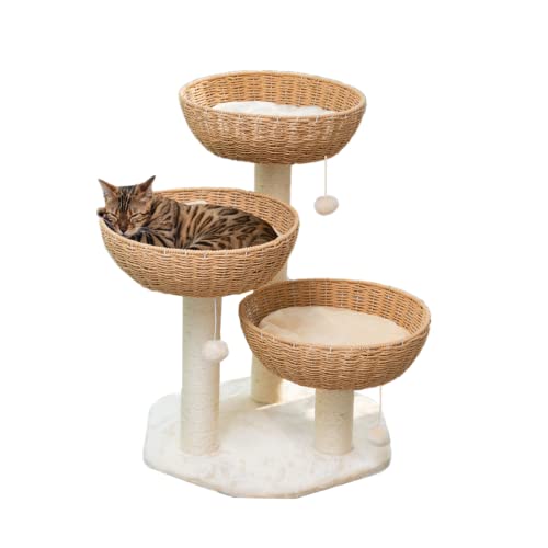Mau Cat Tree – The 15 best products compared - Wild Explained