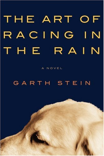 The Art Of Racing In The Rain: Stein, Garth: 9781554681723: Books ...