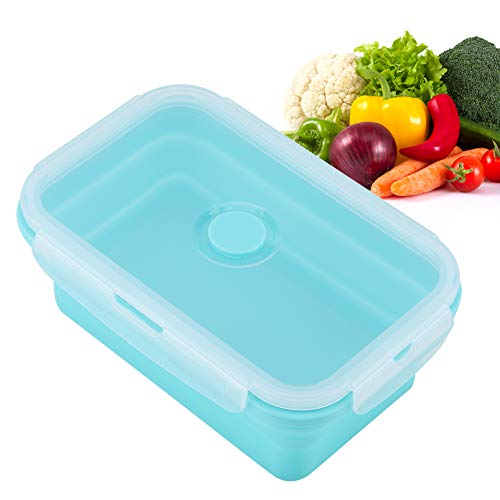 The 24 Best Collapsible Lunch Boxes of 2026 [Verified] - Cherry Picks