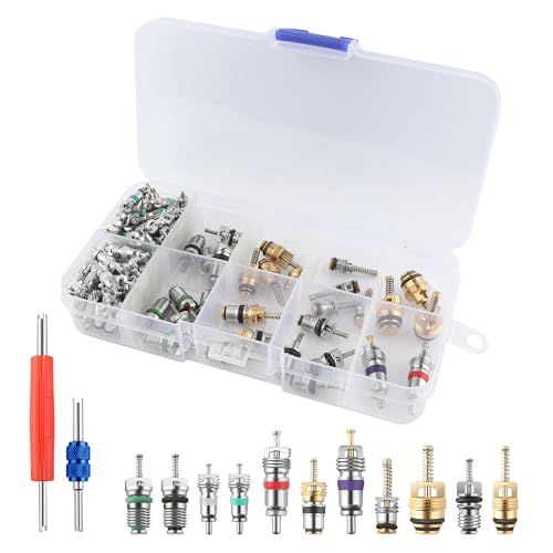 Lexus Refrigerant Capacity Chart: R134a, R1234yf (2025)