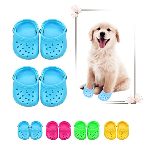 Crocs for Dogs – The 15 best products compared - Wild Explained