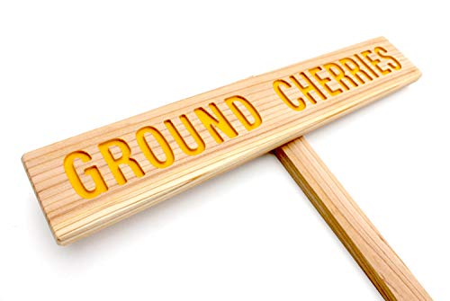 Amazon.com: GROUND CHERRIES Sign, Outdoor Marker, Yard Art, Fruit Sign ...