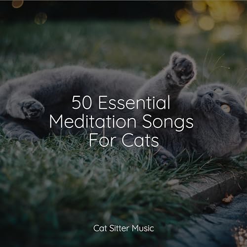 Play 50 Essential Meditation Songs For Cats by Music for Relaxing Cats ...