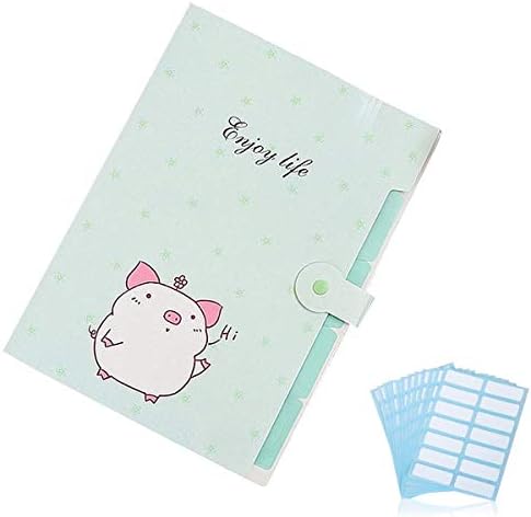 Amazon.com : 1 Pcs Cute Cartoon Plastic A4 Expanding File Folder ...