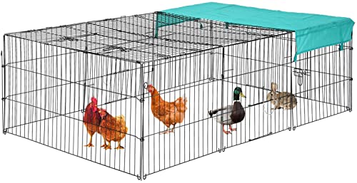 Top 10 Playpens for Chickens in 2021: A Comprehensive Buying Guide and ...