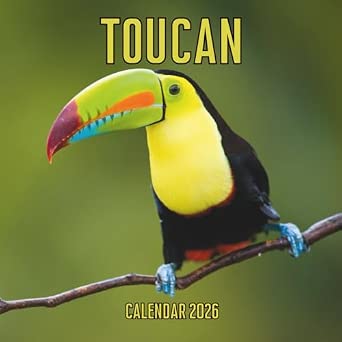 Toucan Calendar 2026: 14-Month Organizer from Nov 2025 to Dec 2026 ...