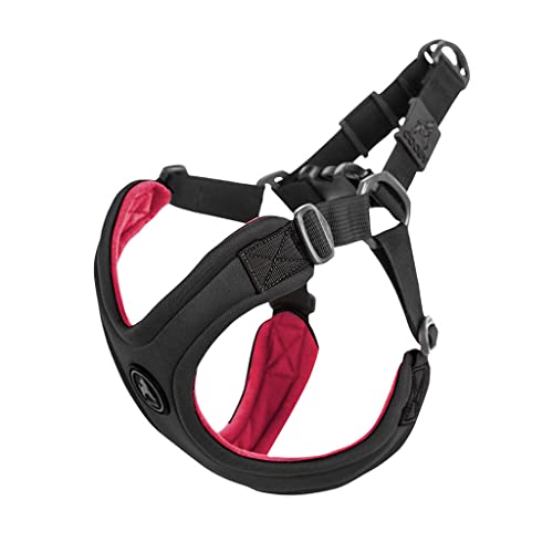 10 Best Step In Dog Harness