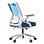 Ergonomic Home Office Desk Chair with Flip up Armrests and Wheels ...
